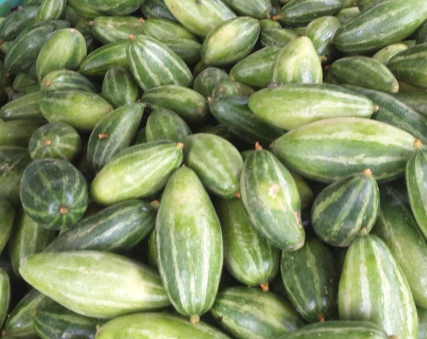 Parwar - POINTED GOURD - 1 lb